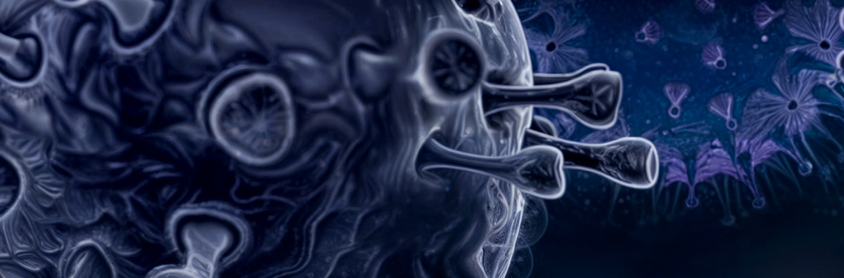 6º Informe de Farmacovigilancia sobre Vacunas COVID-19 de la AEMPS ...