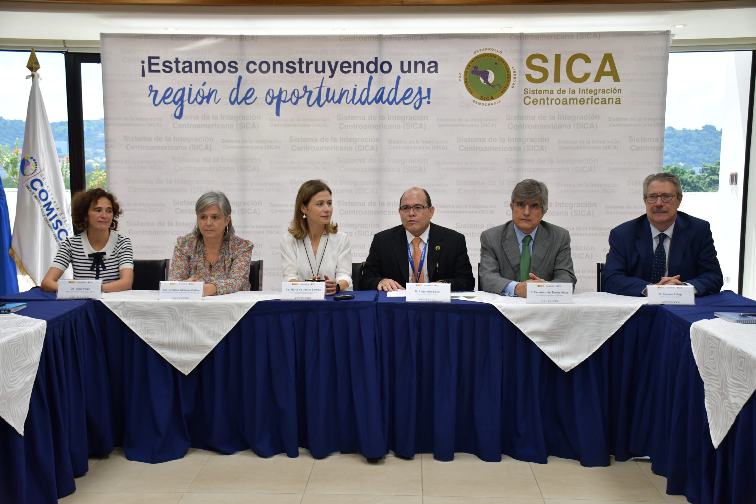 La Secretaría Ejecutiva del Consejo de Ministros de Salud de ...