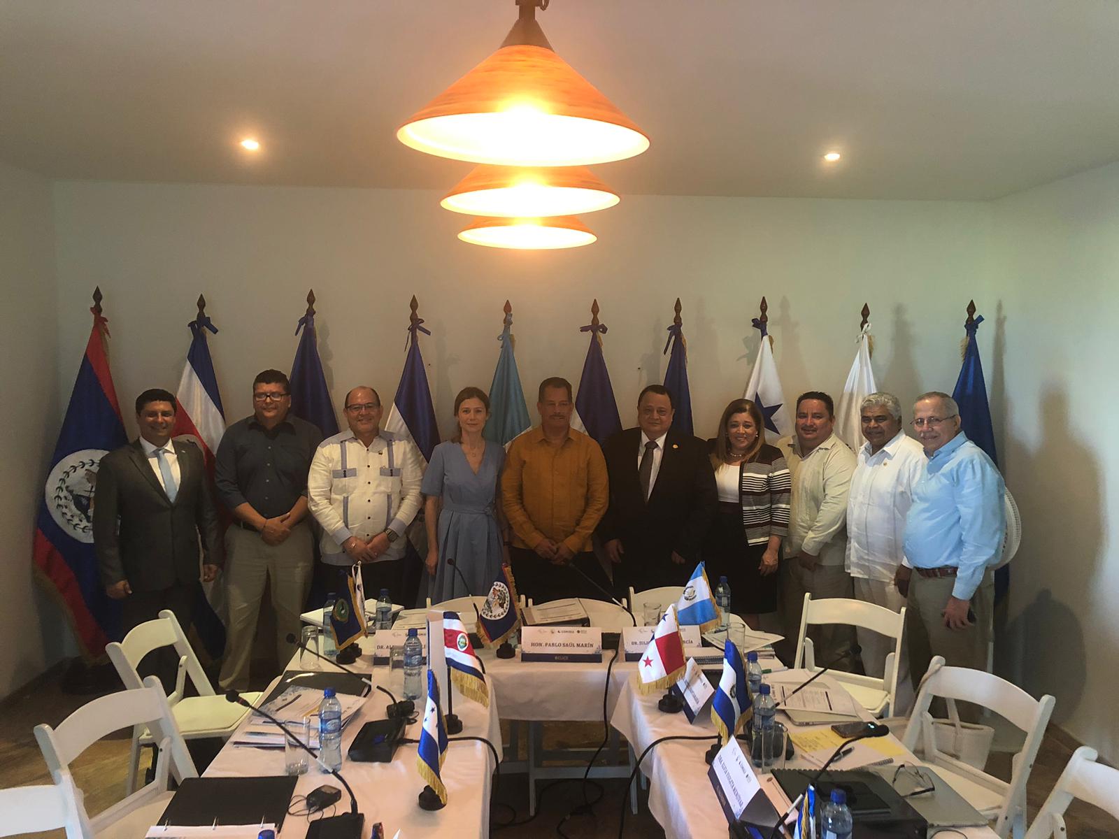 Transferencia Tecnológica de FACEDRA “Farmacovigilancia Centroamérica ...